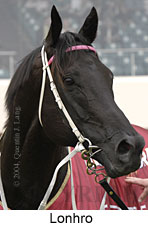 Quentin J. Lang Photography - Racing Stories - Caulfield - Blue Diamond ...